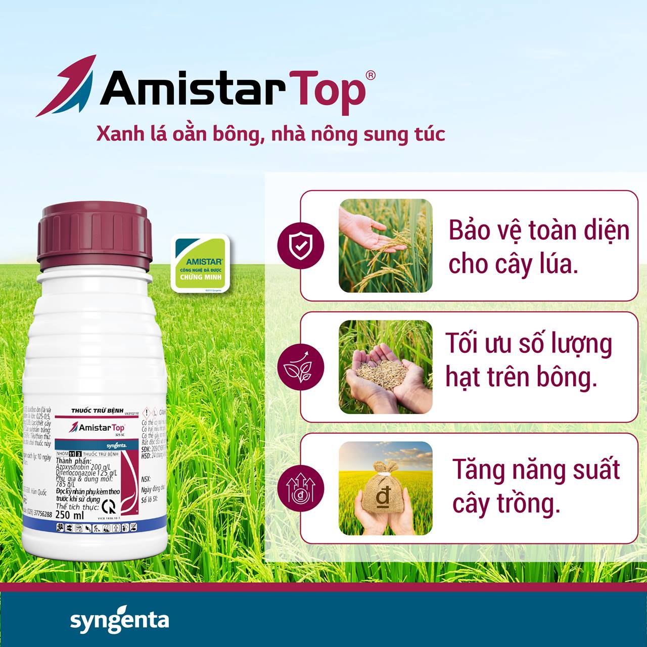 Thuốc trừ bệnh Amistar Top 325SC - Chai 250ml - Minh Khôi Agro
