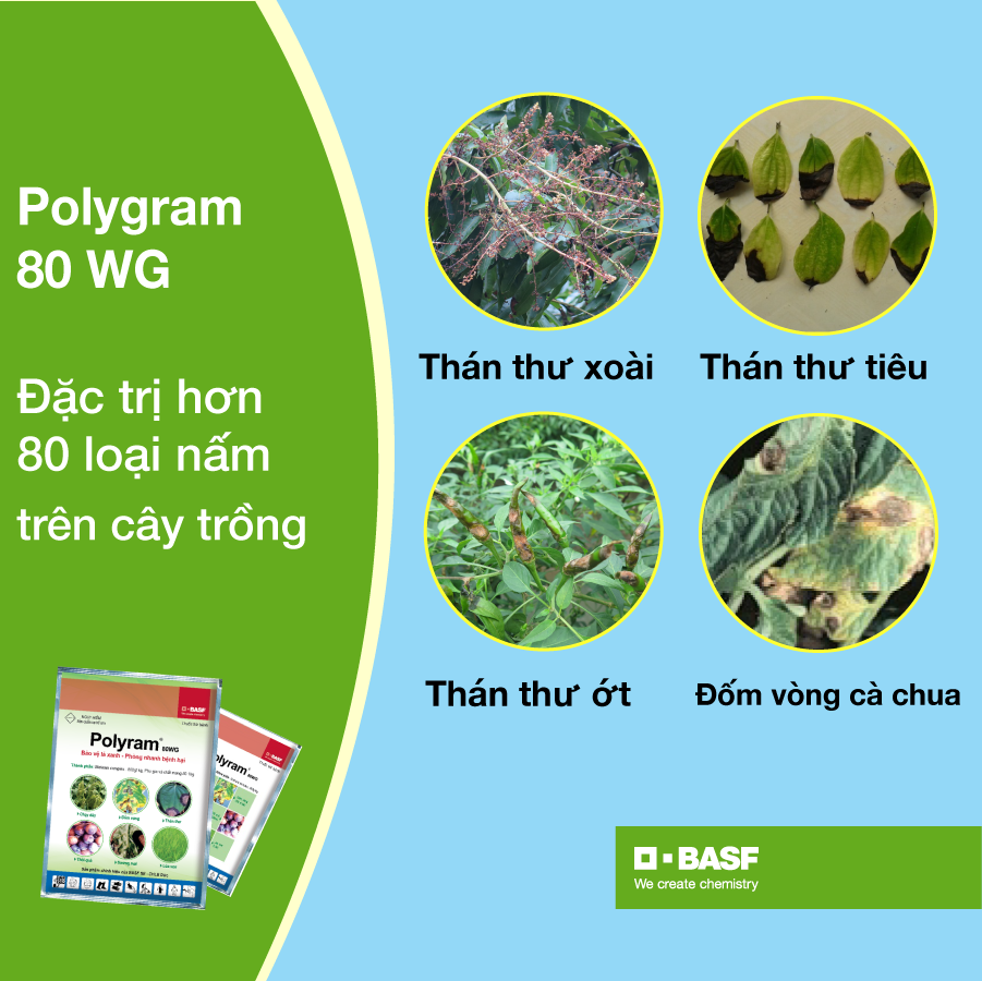 Thuốc trừ bệnh Polyram 80WG - Gói 500g - Minh Khôi Agro