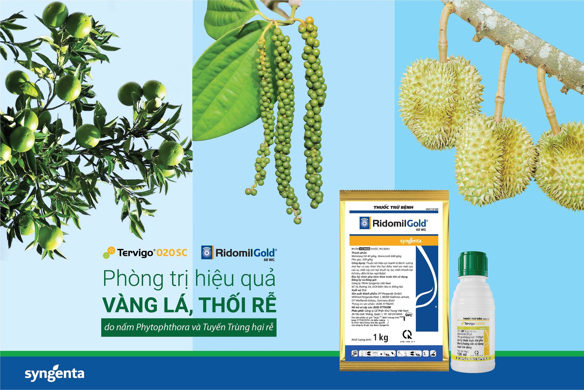 Thuốc trừ bệnh Ridomil Gold 68WG - Gói 1kg - Minh Khôi Agro