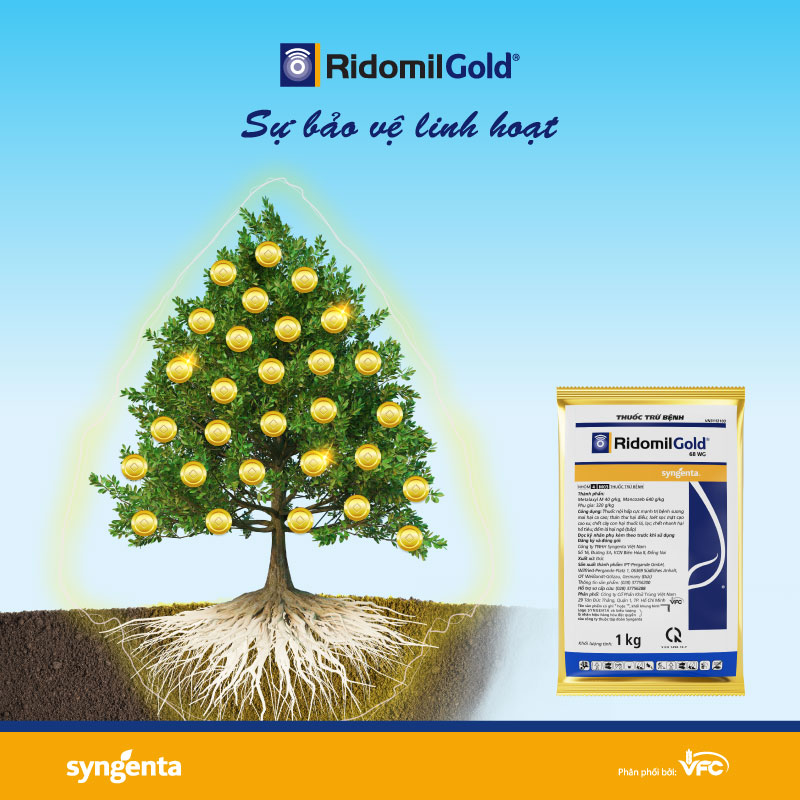 Ridomil Gold 68WG - Gói 100g - Minh Khôi Agro