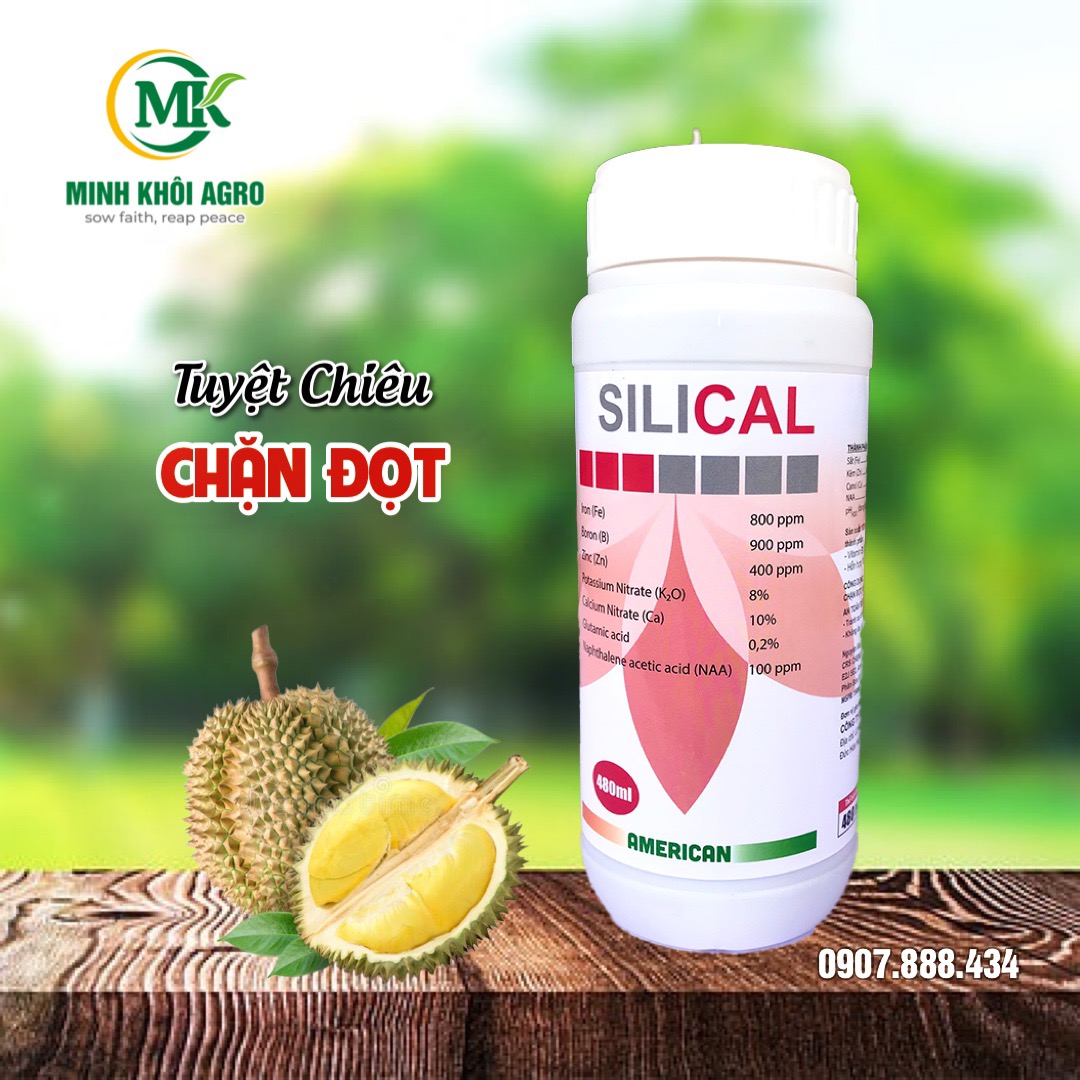 Phân bón lá SILICAL - Chai 480ml | Đẳng cấp chặn đọt - Minh Khôi Agro