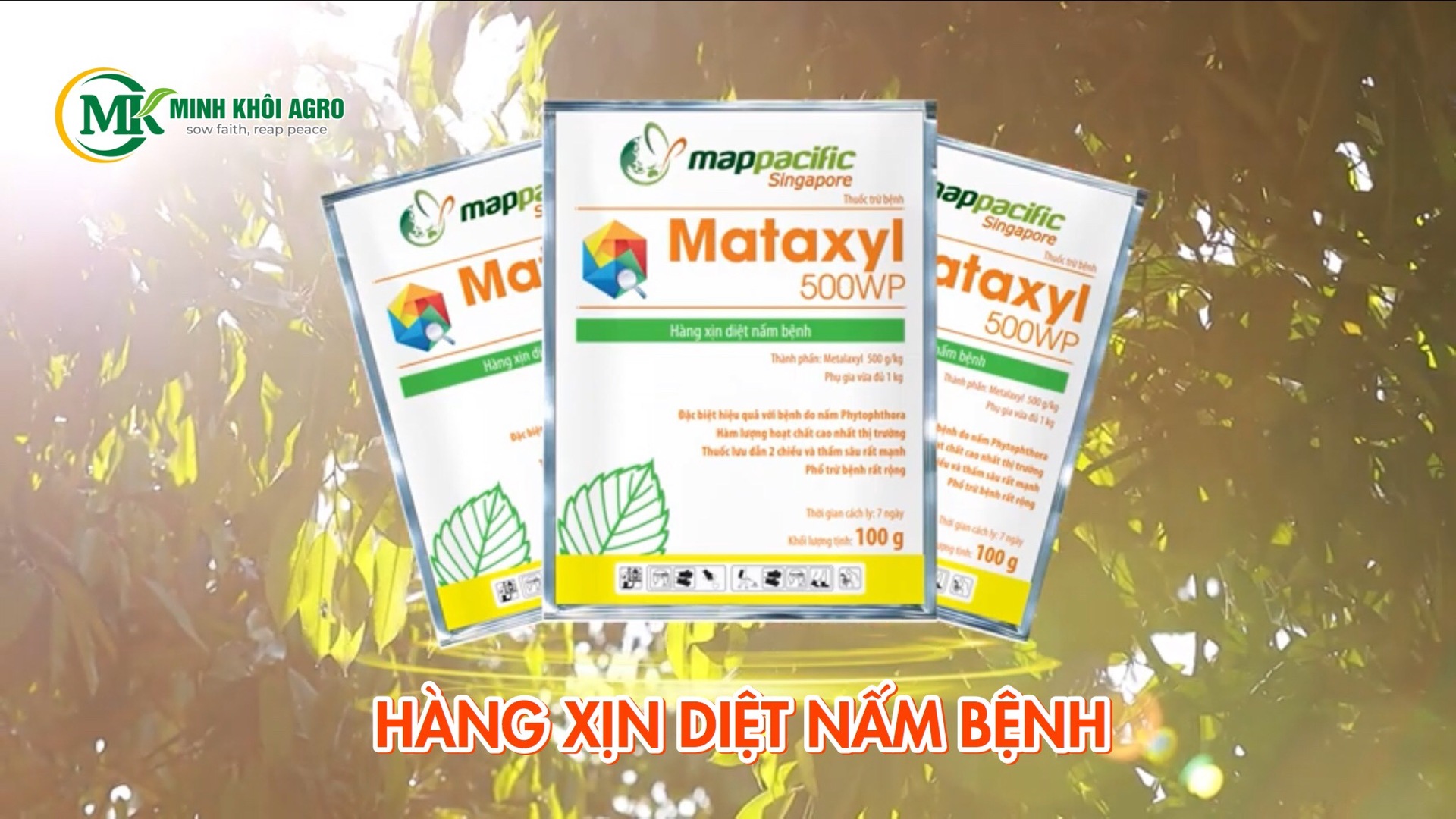 Thuốc trừ bệnh Map Mataxyl 500WP - Gói 100g - Minh Khôi Agro